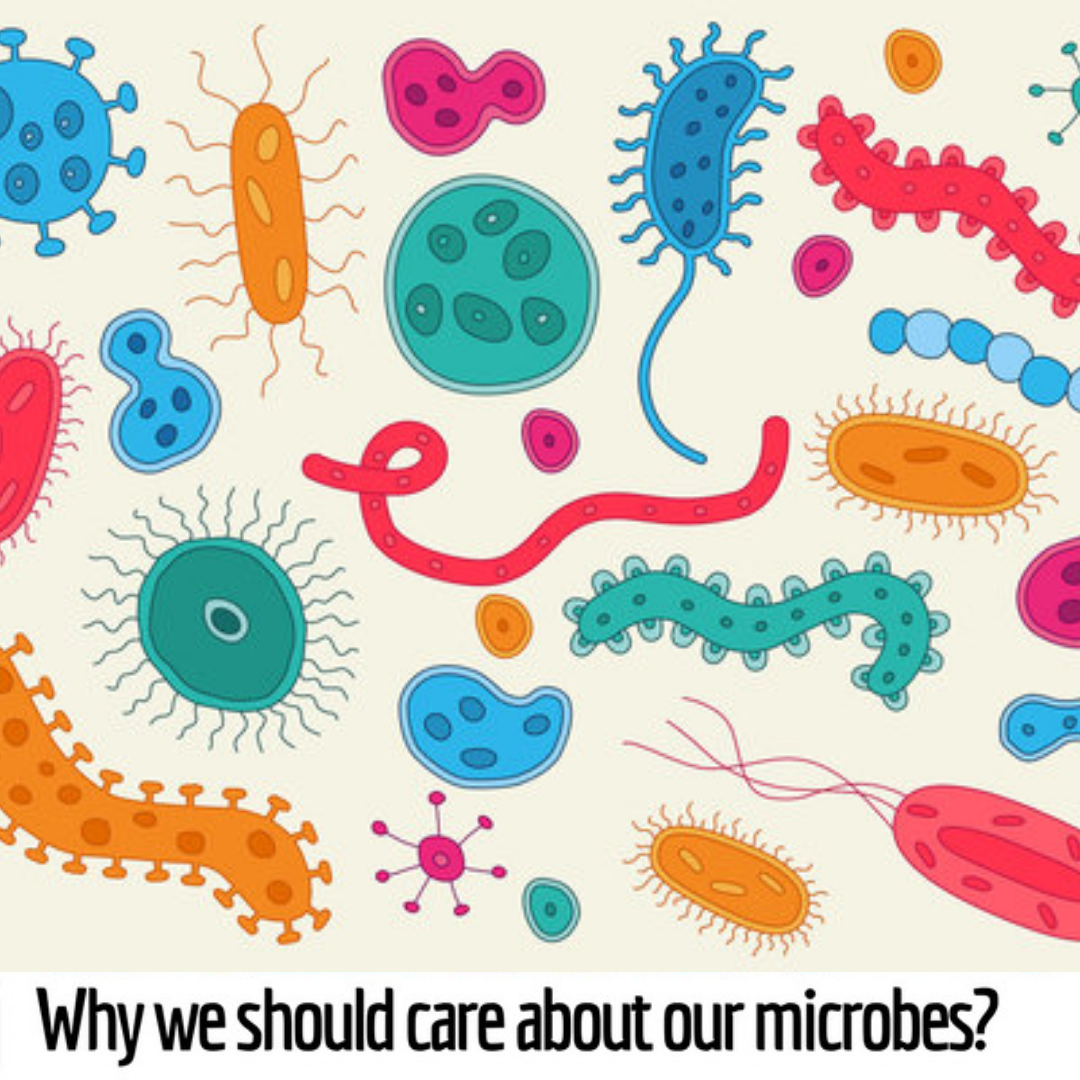 Why We should Care about our Microbes? - Yakult Australia
